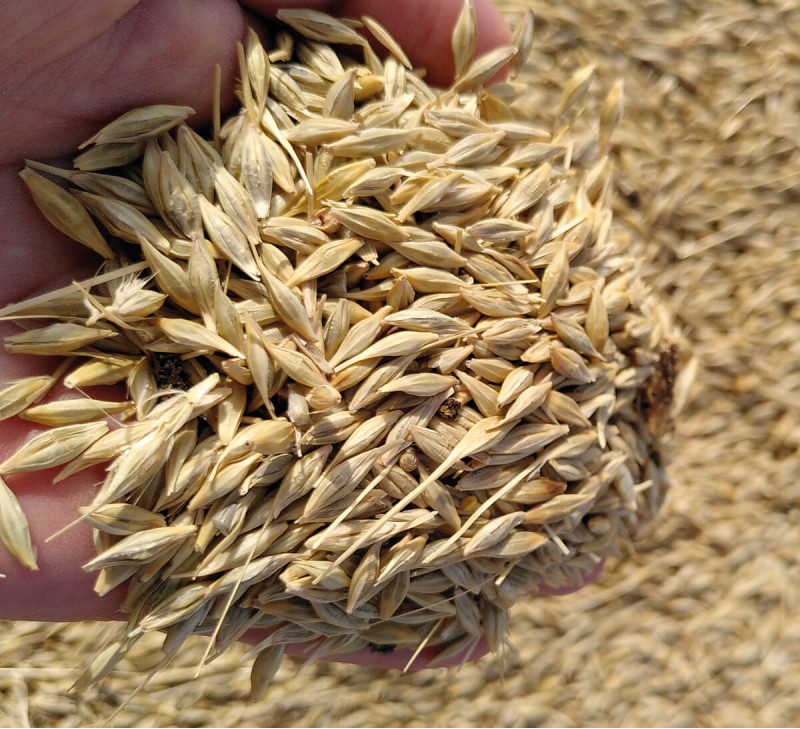 Couscous Complet de Tunisie bio et issu du Commerce Equitable